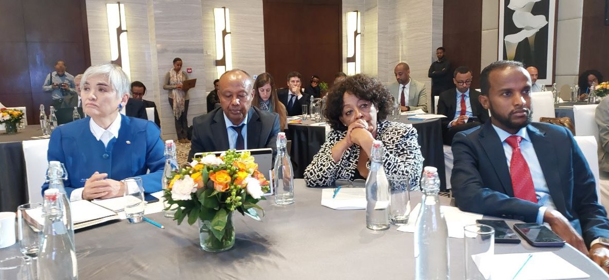 Ethiopia’s Recovery, Reconstruction Conference Underway - ENA English - ENA