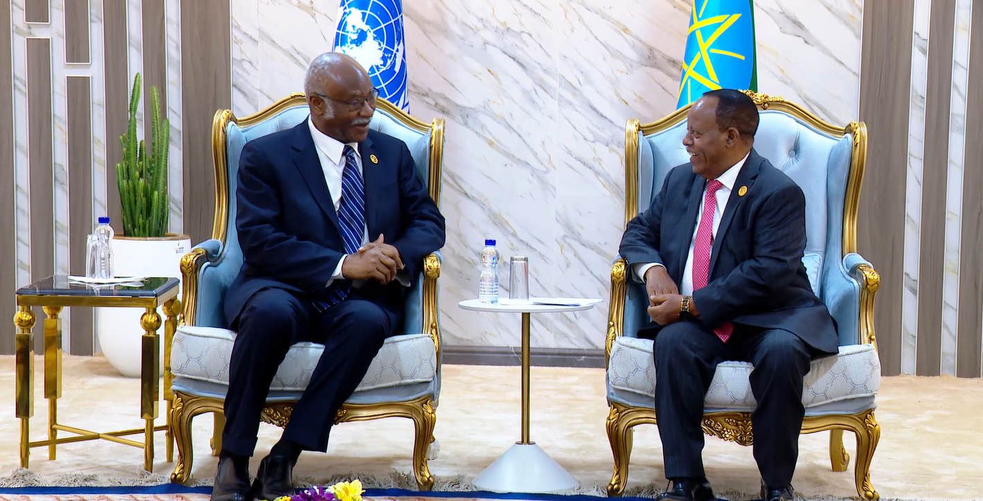 Africa Seeks Two Permanent Members with Veto within UNSC: Ethiopian ...