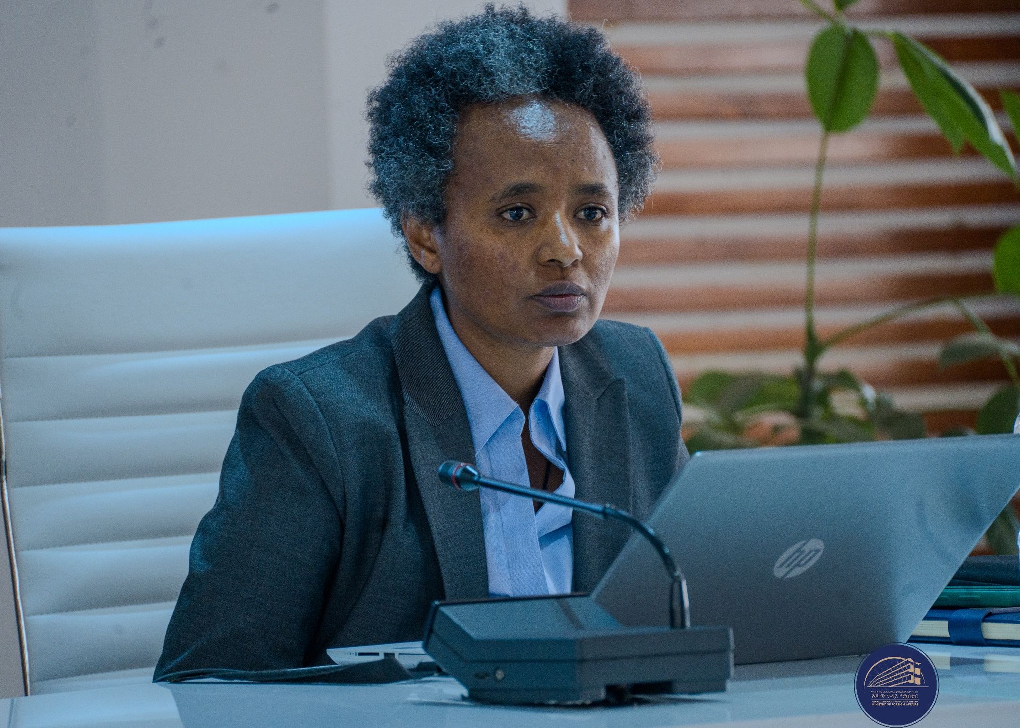 BRICS Senior Official National Technical Committee Convenes - ENA English - ENA