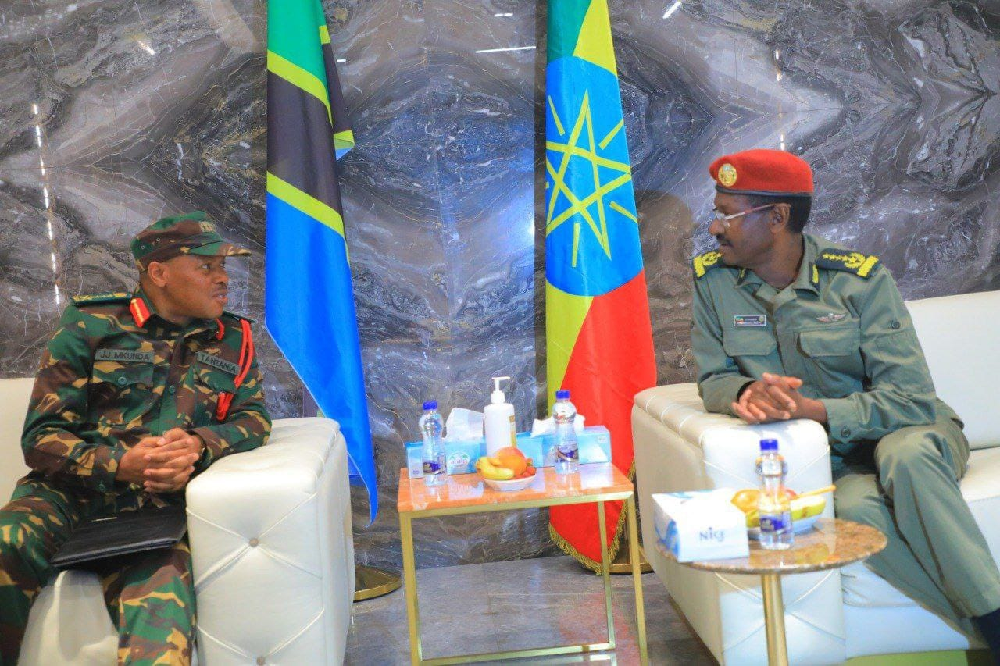 ENDF Chief Receives Tanzanian Defense Force Chief - ENA English - ENA