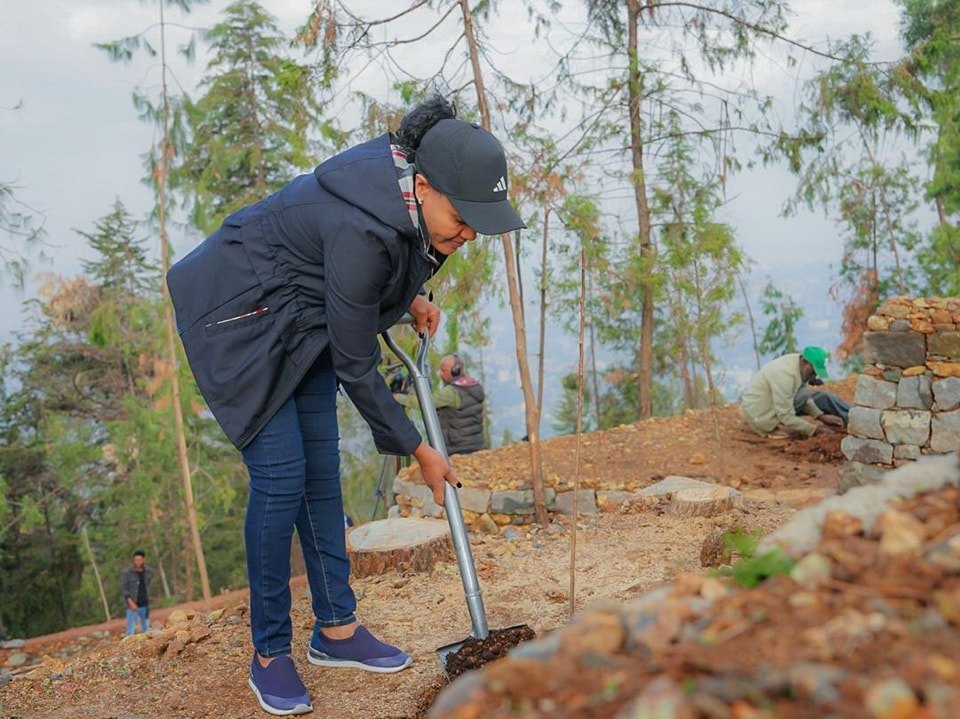 PM Abiy Says Public Spirit for Planting Is High - ENA English - ENA