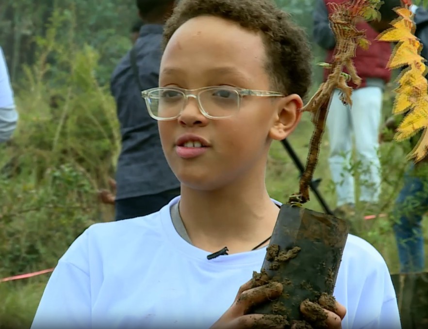 Teenage Second Generation Ethiopian Diasporas Plant Seedlings at Chaka ...
