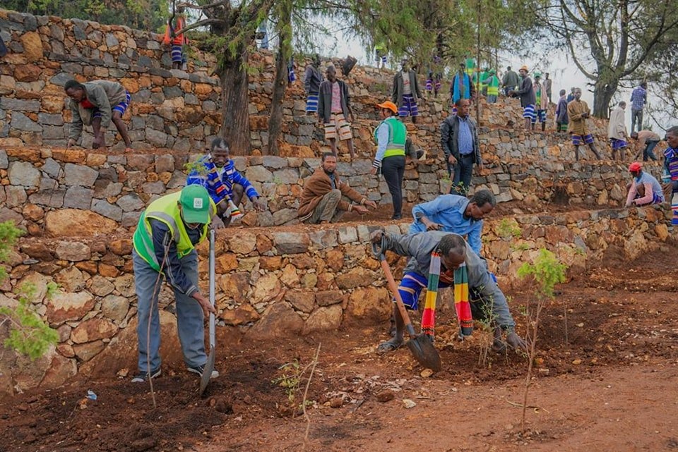 PM Abiy Says Public Spirit for Planting Is High - ENA English - ENA