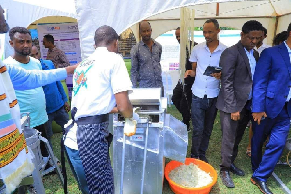 Ground-breaking Enset Processing Machine Developed - ENA English - ENA