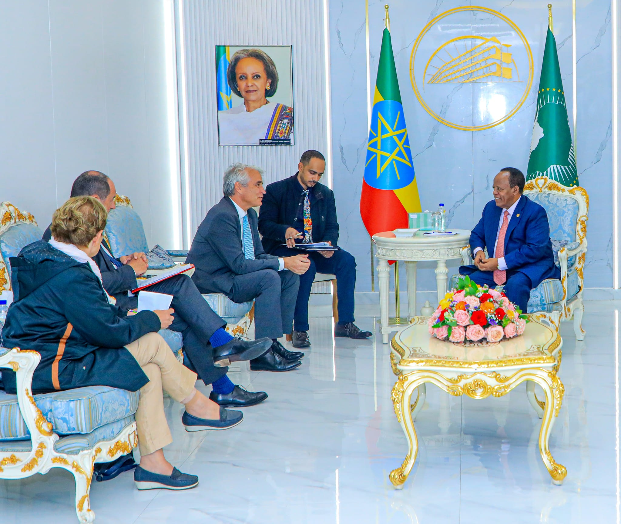 Ethiopia Plays Pivotal Role in Region, Africa: Senator Hugues Saury ...