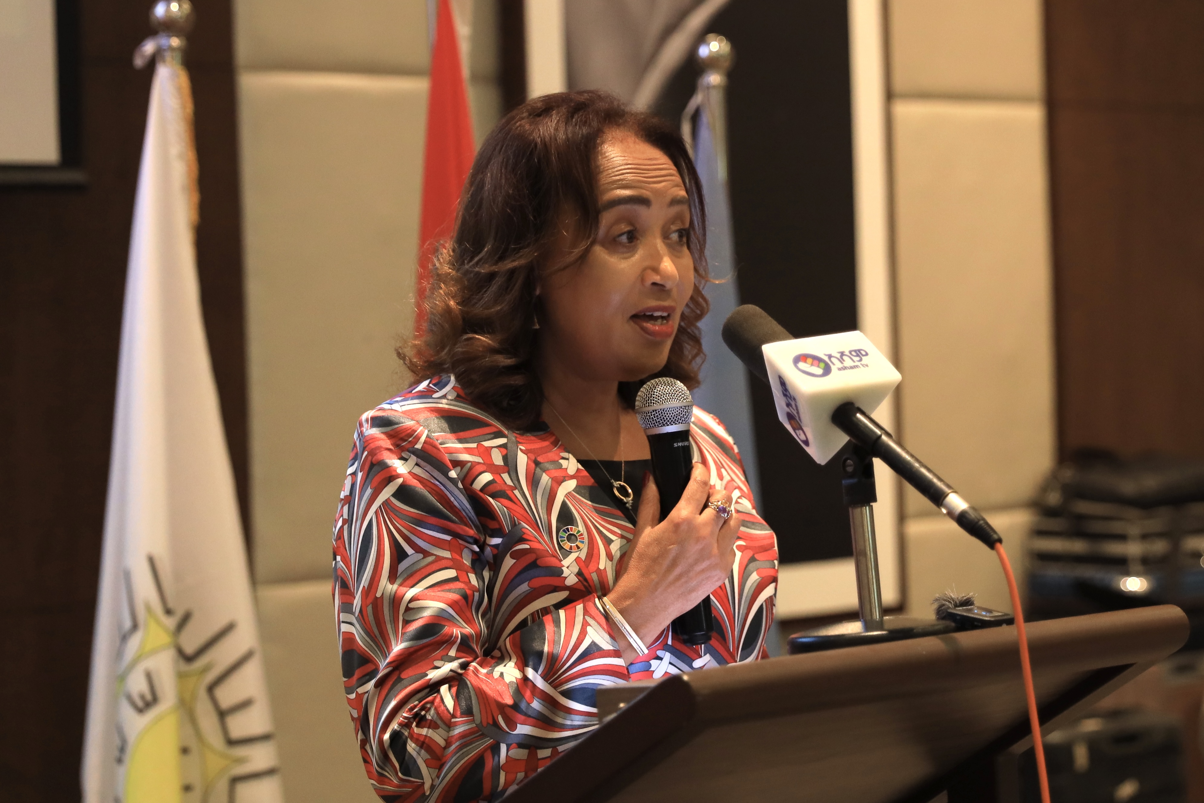 Conference on Ethiopia's Sustainable Infrastructure Development ...