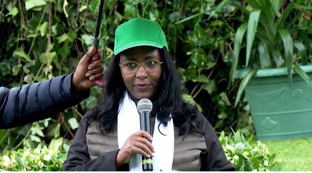 DPM, FM Demeke Says Seedlings Planting Demonstrates Our Commitment to ...