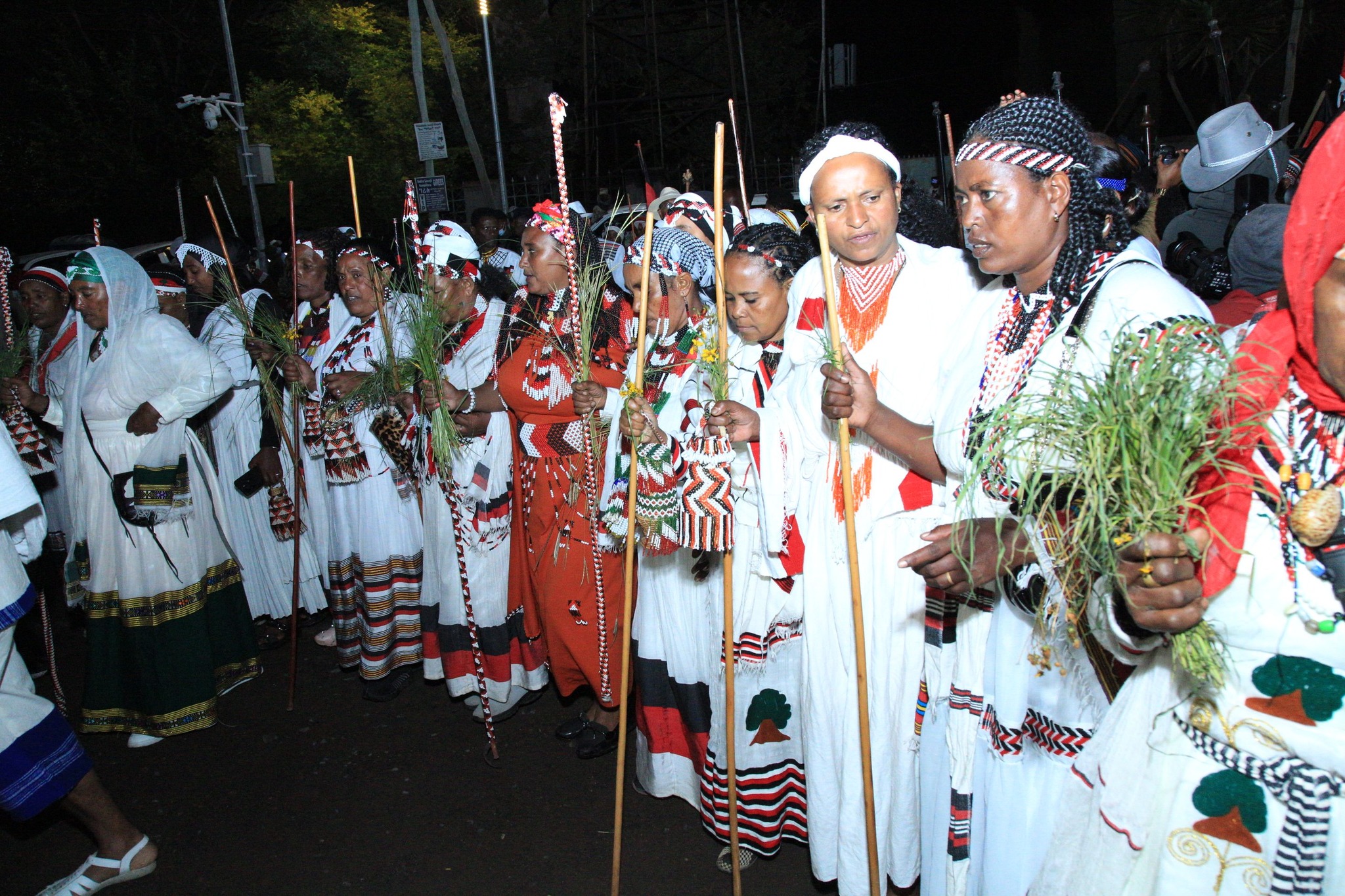 Le festival Irrecha s’est tenu à Hora Arsedi. - ENA Français - ENA