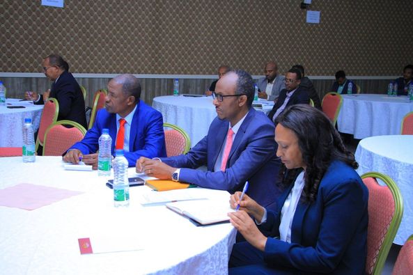 Hammattoon seera qabeessaa dandeettii dhaabbatummaa fi bu’a ...