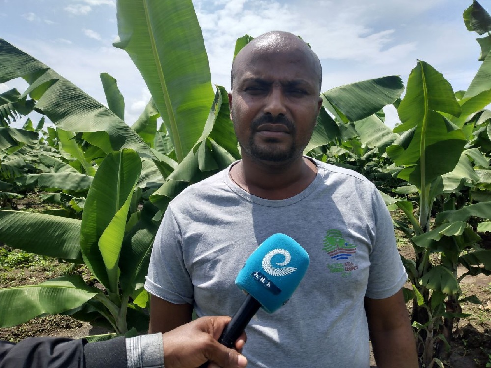 Qonnaan bultoonni Godina Shawaa Bahaatti booyyee horsiisan bu’a ...