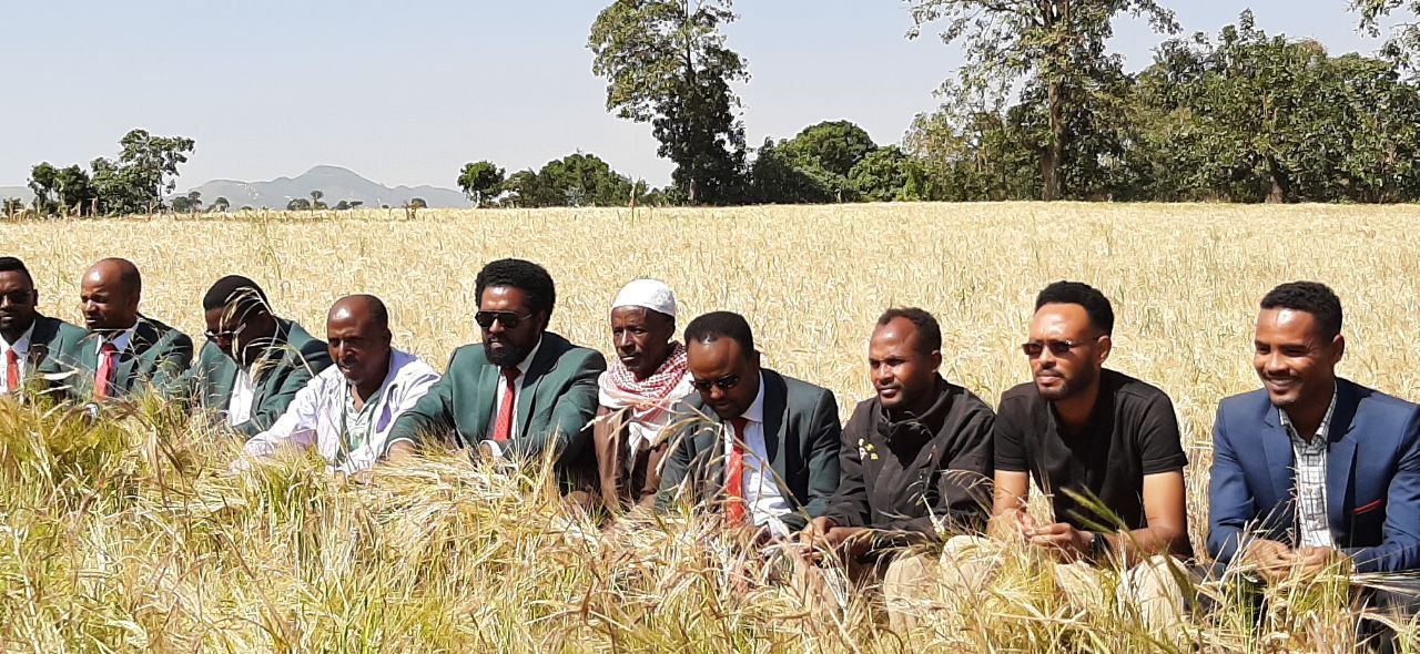 Godina Arsii lixaatti Garbuun Biiraa lafa heektaara kuma 90 irratti ...