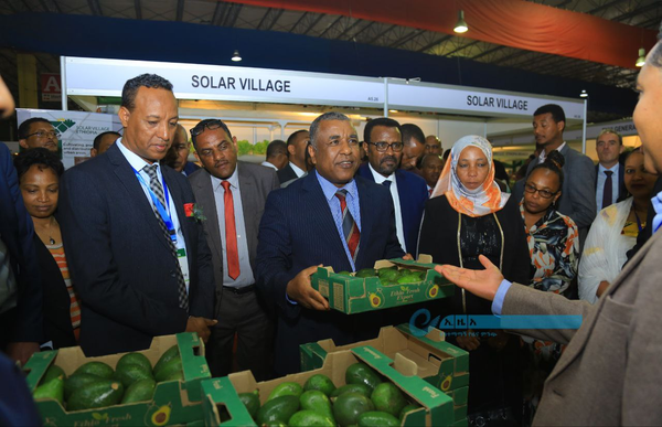 Eksipoon Abaaboo, Kuduraa fi Muduraa idil addunyaa saddettaffaa baname ...