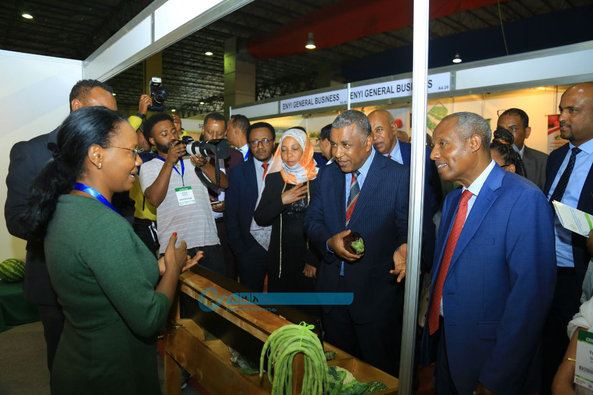 Eksipoon Abaaboo, Kuduraa fi Muduraa idil addunyaa saddettaffaa baname ...