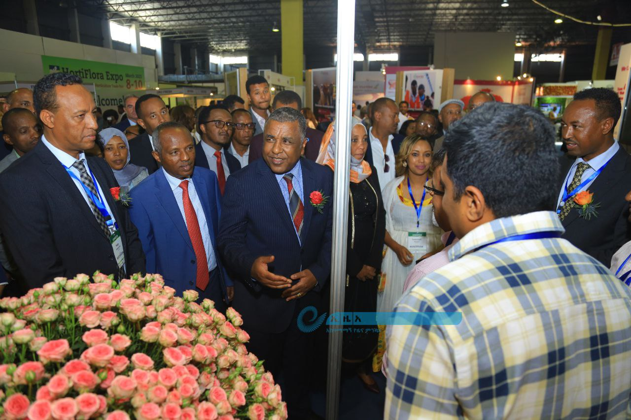 Eksipoon Abaaboo, Kuduraa fi Muduraa idil addunyaa saddettaffaa baname ...