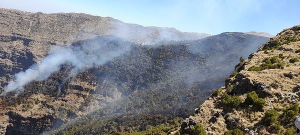 Ibidda paarkii biyyaalessaa gaarreewwan Kaabaatti qabate to’achuuf ...