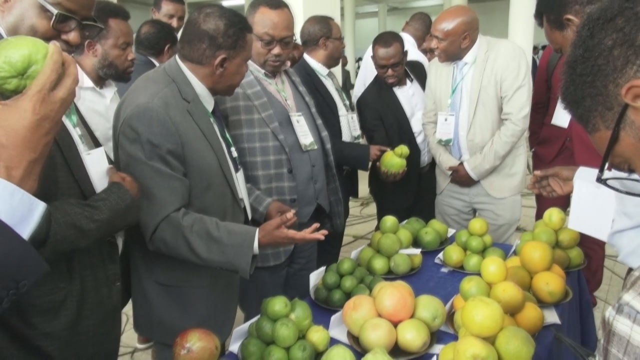 Yuunivarsiitiin Haramaayaa tekinolojiiwwan qorannoon argaman 147 ...