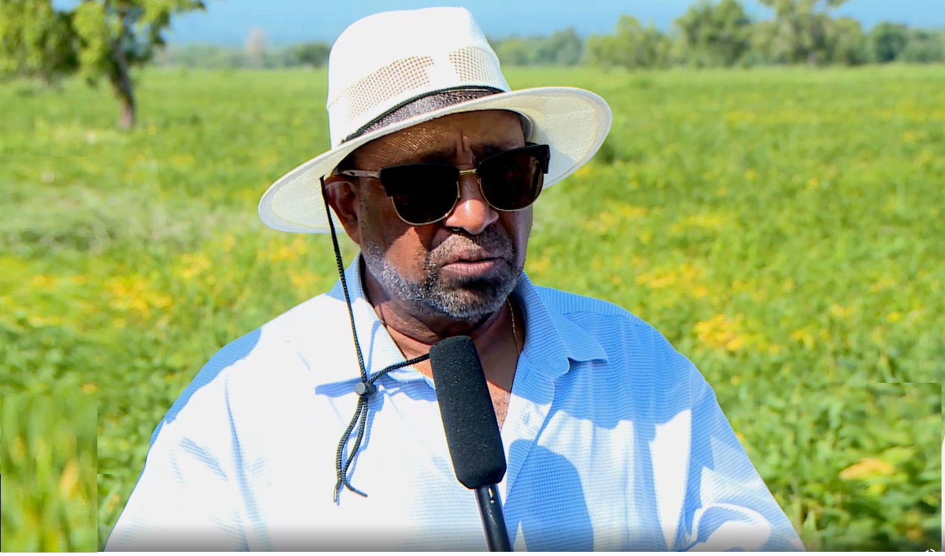 Belete Molla's Instagram, Twitter & Facebook on IDCrawl