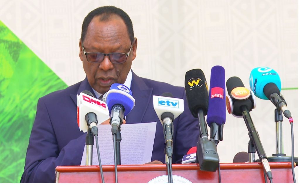 Addis Ababa Holding Cultural Festival Aimed at Promoting Diversity in ...